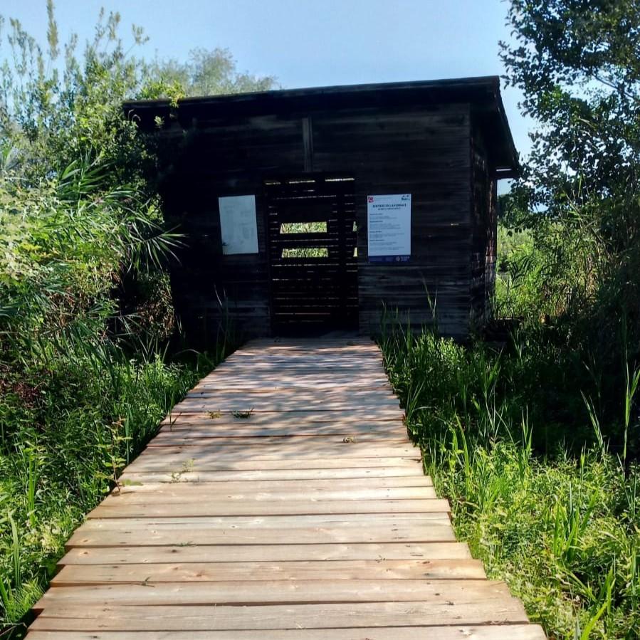 Four Seasons Natura e Cultura | RISERVA DI NAZZANO TRA ACQUA E TERRA