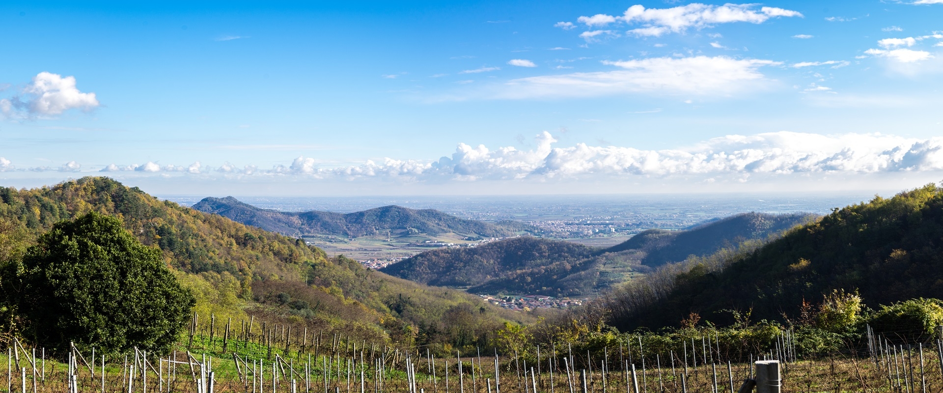 Four Seasons Natura e Cultura | LE COLLINE DEL PROSECCO